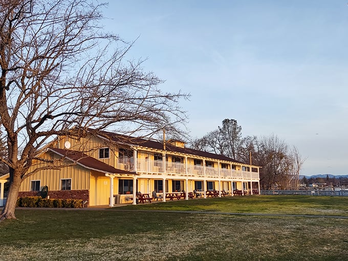 Skylark Shores Resort captures that golden-hour magic when the day's adventures are done but the evening's stories are just beginning to unfold.