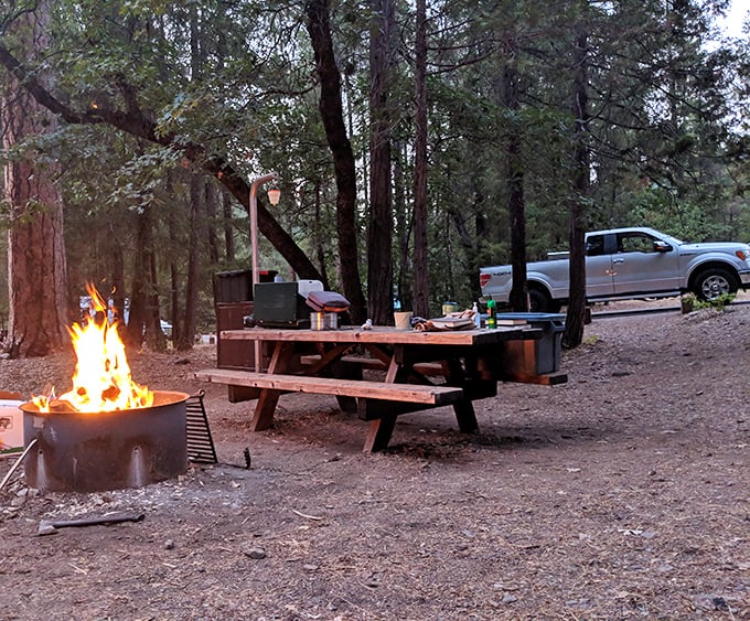 Campfire dinners under towering pines—where the ambiance outshines any Michelin-starred restaurant and the dress code is delightfully "whatever's warm."
