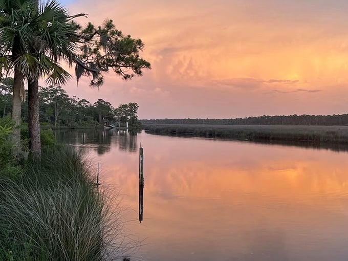 Sunset transforms Pellicer Creek into liquid gold. No admission fee for nature's nightly light show—just bring your sense of wonder.