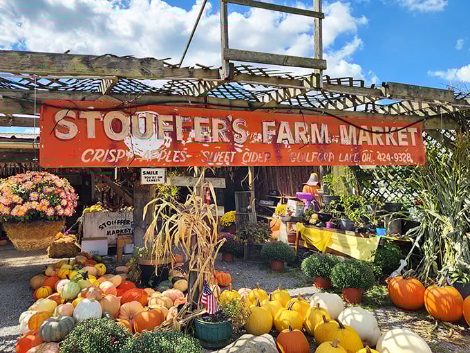 Stouffer's Farm Market doesn't filter its pumpkins for Instagram—they come naturally photogenic. Fall harvest bounty that makes grocery store produce look like sad imposters.