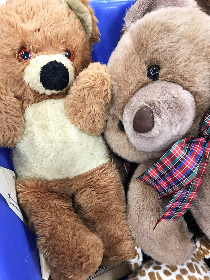 These teddy bears have seen things. Now they're ready for a second chance at being someone's beloved confidant and midnight comfort.