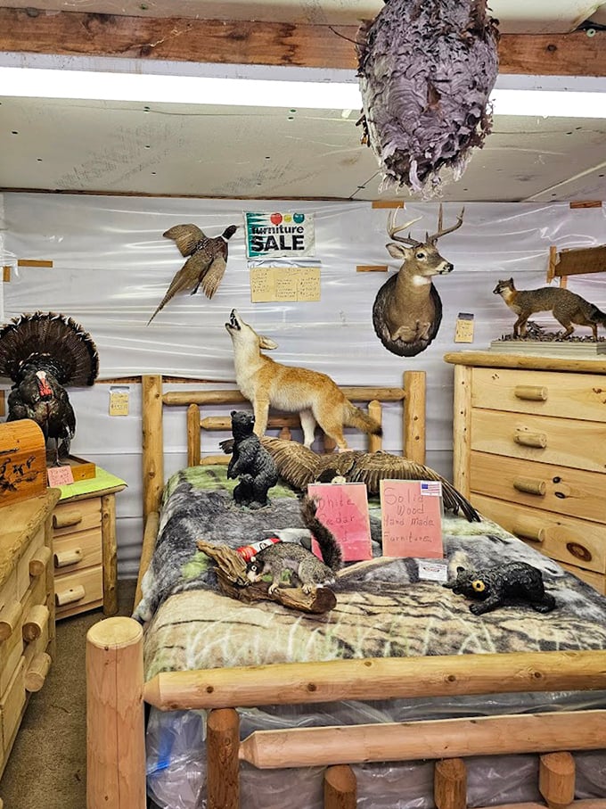 The taxidermy room—where wilderness meets interior design. That deer looks as surprised to be there as you are to find him.