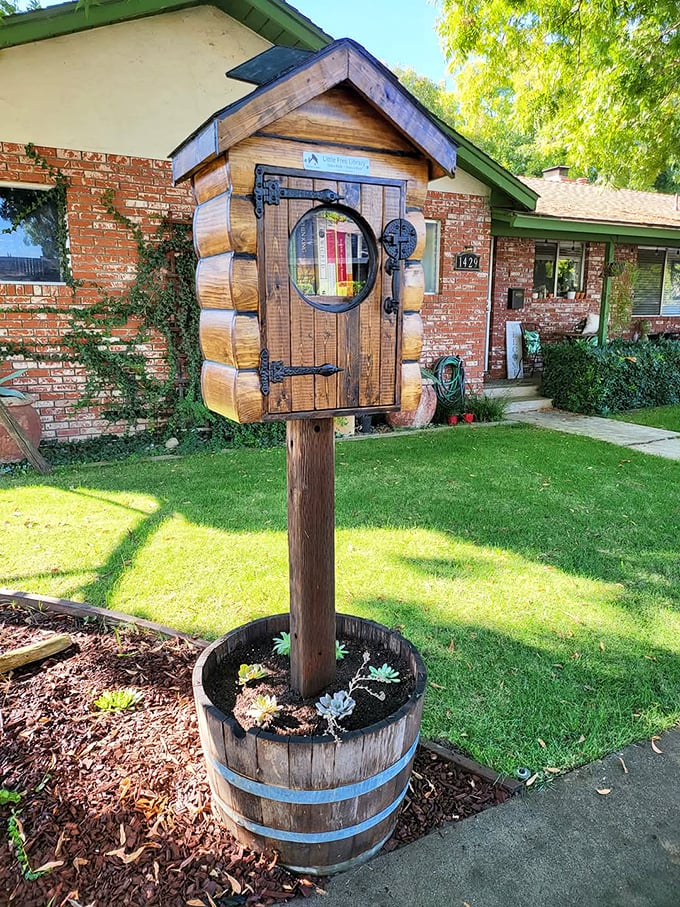 This charming Little Free Library captures Modesto's community spirit—take a book, leave a book, and stretch your entertainment budget while expanding your mind.