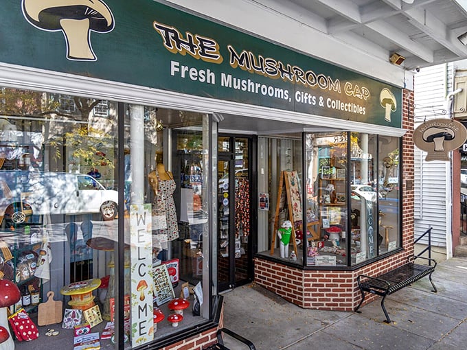The Mushroom Cap isn't just a store—it's a shrine to the humble fungus that put this town on the culinary map.