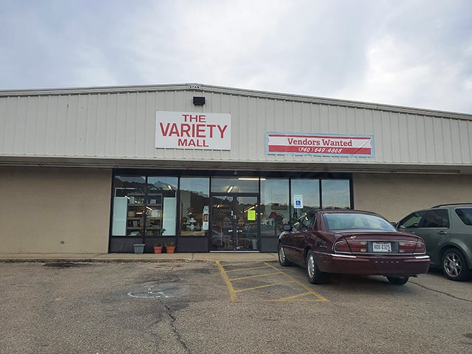 The Variety Mall – where "variety" isn't just a name but a promise, and one person's random collection becomes another's treasure hunt.