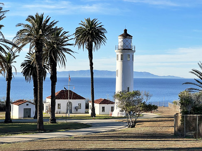 Palm trees and lighthouses: California's version of peanut butter and jelly—unexpected but somehow perfect together.