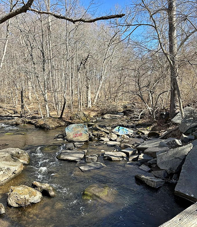 French Creek's gentle flow has carved pathways through stone for centuries, creating nature's version of a meditative sound machine.