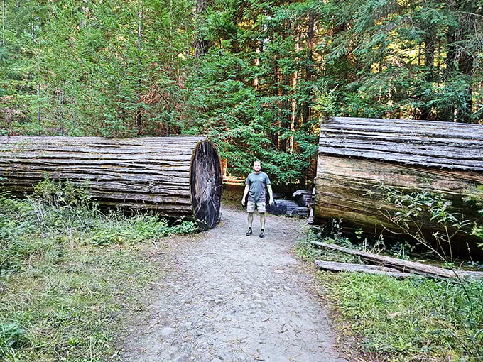 These fallen giants create natural tunnels that make you feel like Alice tumbling into Wonderland—minus the talking rabbits.