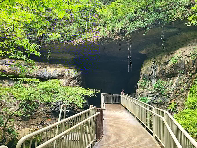 Nature's grand entrance – the cave beckons explorers down a well-maintained boardwalk into Indiana's mysterious underground world.