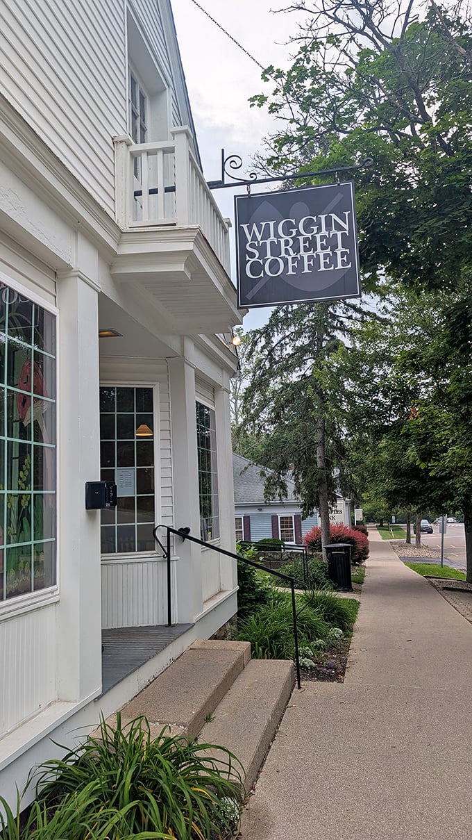 Wiggin Street Coffee isn't just a caffeine stop—it's Gambier's living room. Where great ideas are born between sips of expertly crafted lattes.