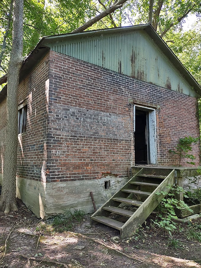 This abandoned brick building has more character than most reality TV stars—standing stoically as nature slowly reclaims its territory.