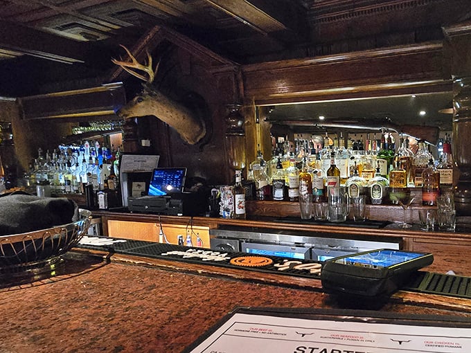 The bar area, complete with mounted moose, offers liquid courage for those about to tackle the 22-ounce Cattle Baron Ribeye. Challenge accepted.