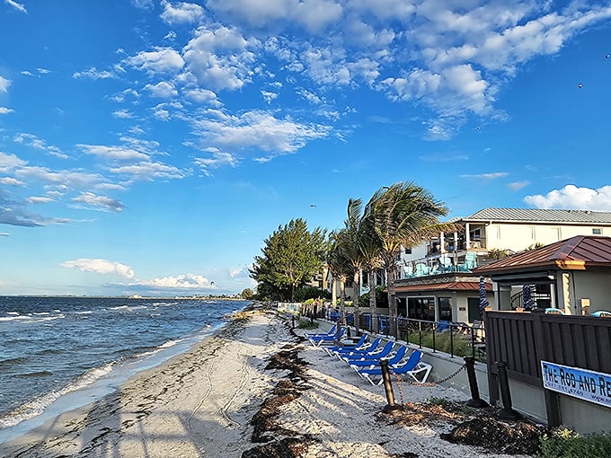 The Rod & Reel Pier offers front-row seats to nature's aquatic theater, where dolphins might upstage your lunch.