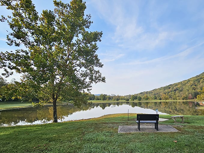 A solitary bench offers front-row seating to nature's greatest show—the perfect spot for morning coffee or evening contemplation.
