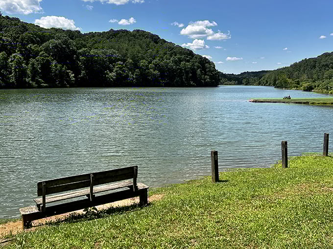 The perfect thinking spot. This lakeside bench has heard more life-changing decisions and heartfelt conversations than most therapists.