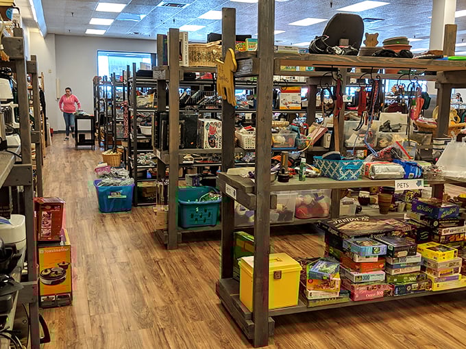 Board game bonanza! Family game nights get an affordable upgrade here, with everything from vintage classics to modern favorites waiting to be rediscovered.