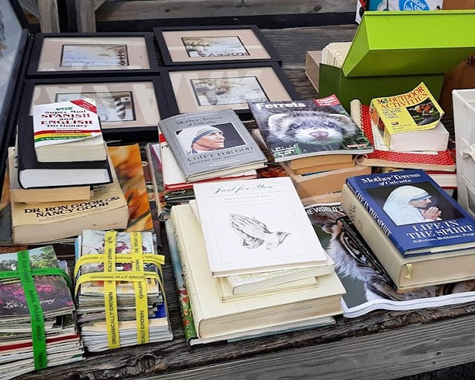 Books stacked with care—from Mother Teresa to wildlife guides, these pages hold adventures costing less than your morning coffee.