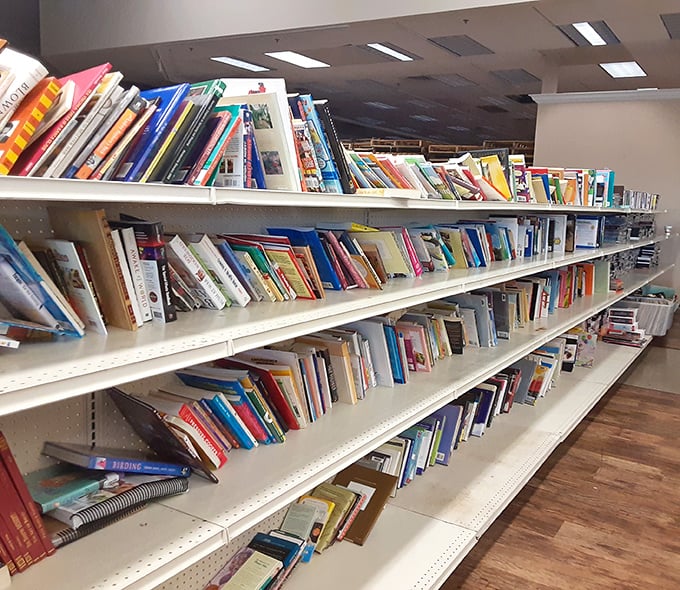 Literary treasures stacked with care – where paperback classics and forgotten cookbooks await their second chance at love.