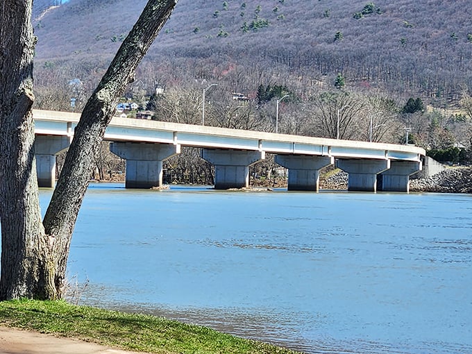 This isn't just a bridge—it's a chapter of Pennsylvania's industrial story, spanning water that once carried the lumber that built America.