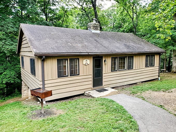 Park cabins offer rustic charm with modern conveniences, like camping for grown-ups who appreciate plumbing.