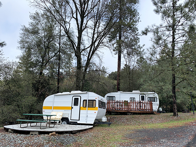 Camping near Groveland ranges from "roughing it" to "glamping"—these vintage trailers split the difference with retro charm and actual beds.