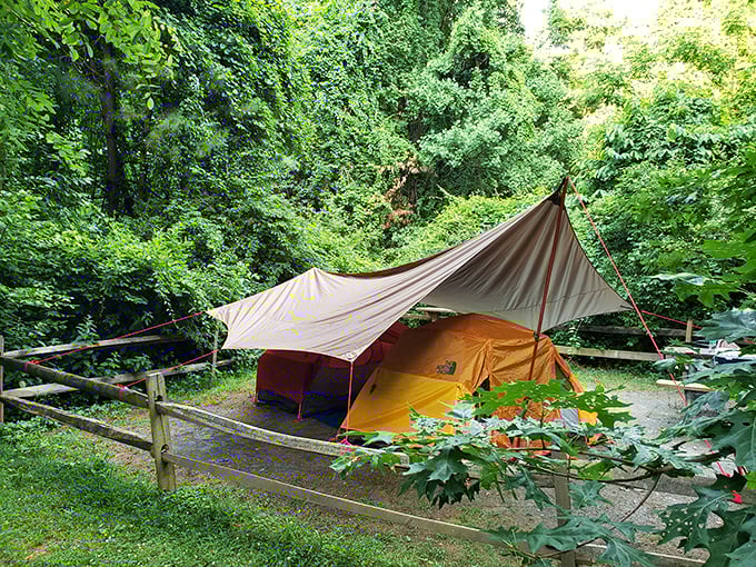 Camping nirvana: where your morning alarm is birdsong and your ceiling is canvas. No better way to reset your internal clock.