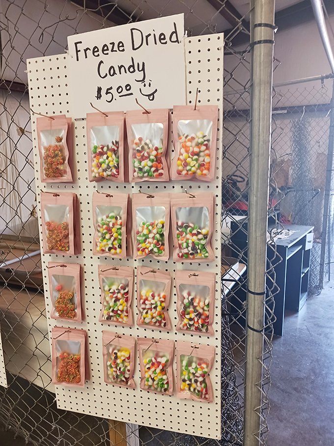 "Freeze Dried Candy" might be the most unexpected snack innovation at Hilltop—like astronaut treats for earthbound sweet tooths with adventurous palates.
