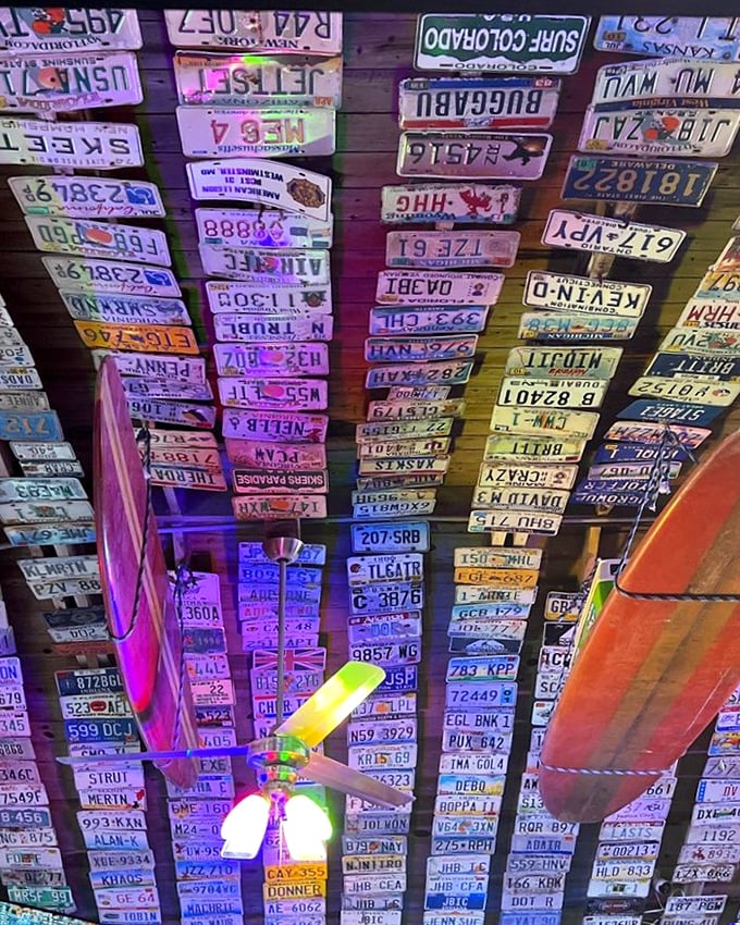 The ceiling's license plate collection spans decades and states, telling stories of road trips that all somehow led to this perfect spot by the sea.