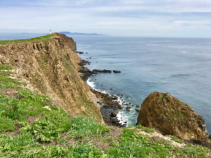 These dramatic cliffs remind you that California's coastline doesn't mess around with subtlety.