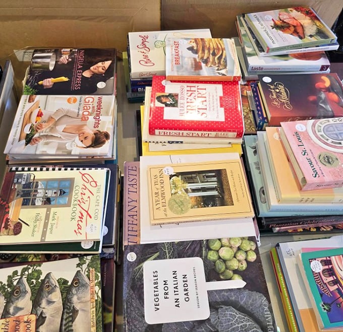 Cookbooks stacked with care reveal culinary time travel possibilities – Julia Child rubbing shoulders with forgotten Florida recipes and vegetarian explorations.