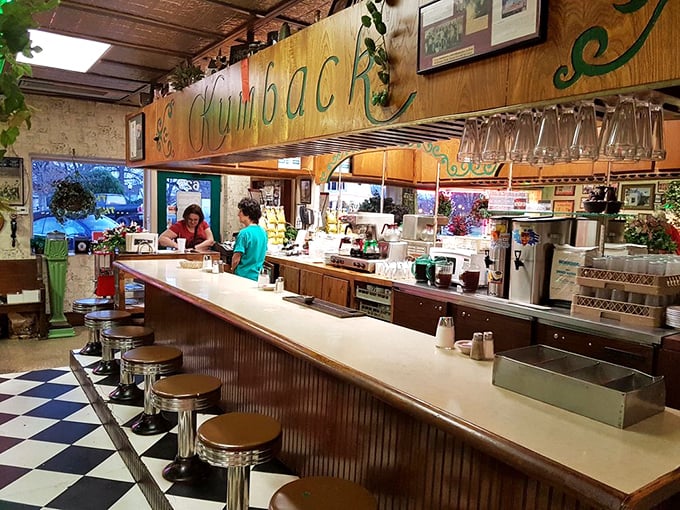 The lunch counter—where strangers become friends and regulars are treated like royalty. That wooden "Kumback" sign has witnessed decades of Oklahoma stories.