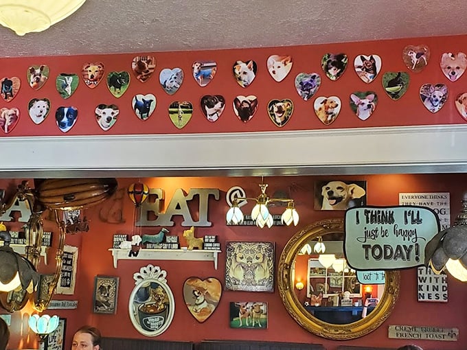 Wall art that's part dog shrine, part quirky treasure hunt. "I think I'll just be happy today" isn't just a sign—it's the inevitable outcome.