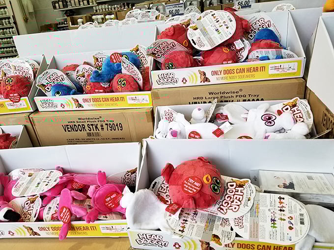 Dog toys that only dogs can hear—and prices that'll make pet owners cheer. Fido deserves a bargain too!