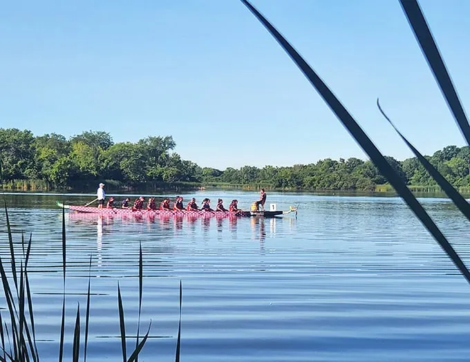 Dragon boat teams slicing through glass-like waters prove that synchronized paddling is both mesmerizing to watch and impossible to photograph badly.