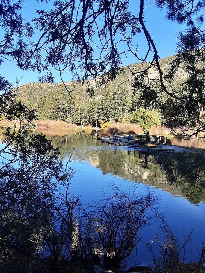 The perfect fishing spot doesn't exi— Oh wait, here it is, complete with mountain backdrop and water so clear you can practically negotiate with individual trout.