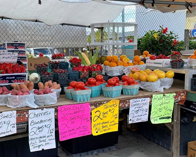 Fresh produce that puts grocery store prices to shame – those tomatoes actually look like real tomatoes, imagine that.