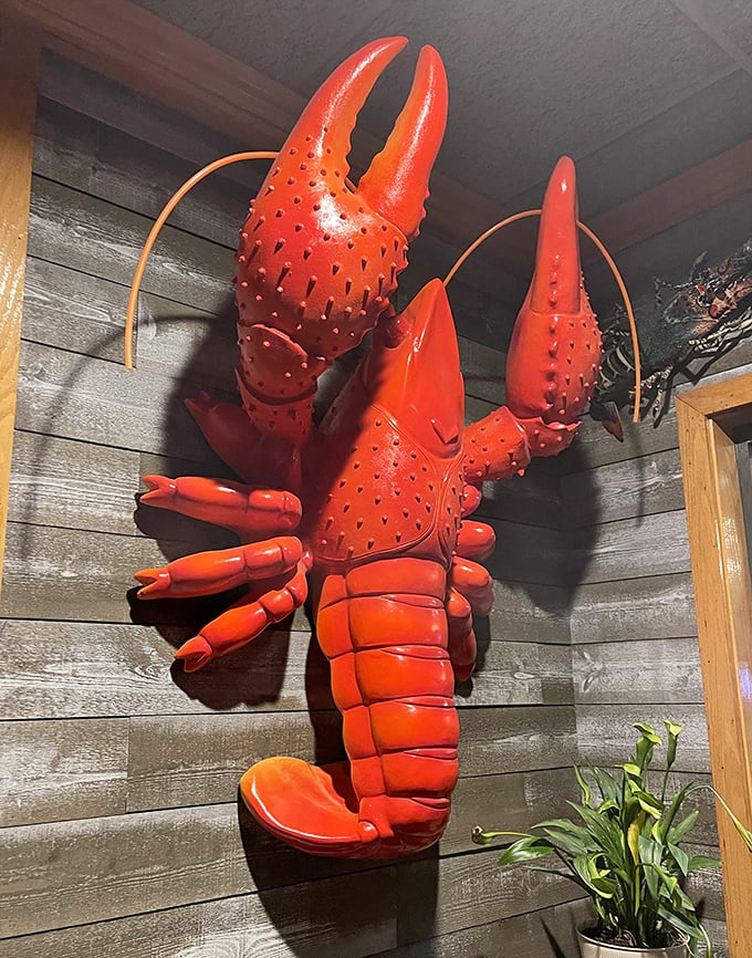 This giant lobster wall sculpture isn't compensating for anything—the real seafood here is equally impressive in size and flavor.