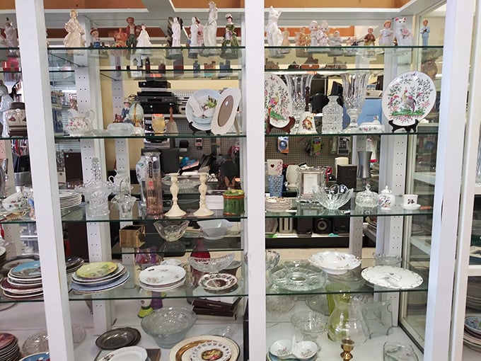 Behind glass but within reach – delicate crystal, decorative plates, and figurines that once graced someone's china cabinet await new admirers. 