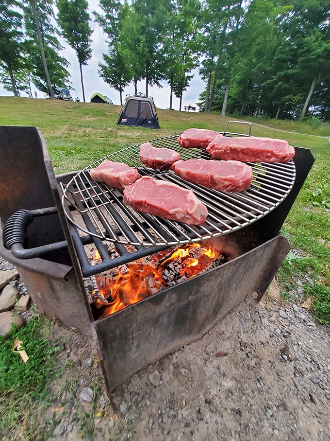 Daytime grilling before nighttime thrilling. Nothing complements cosmic contemplation like a perfectly cooked steak under the Pennsylvania pines.