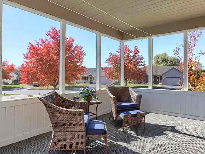Screened porches—where Pennsylvania's stunning fall foliage becomes your personal Netflix show. Those maple trees put on a better performance than most streaming originals.