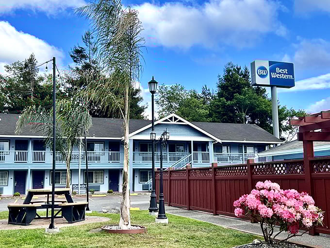 The Best Western in Fortuna isn't just a place to stay—it's your gateway to redwood country, complete with blooming rhododendrons.