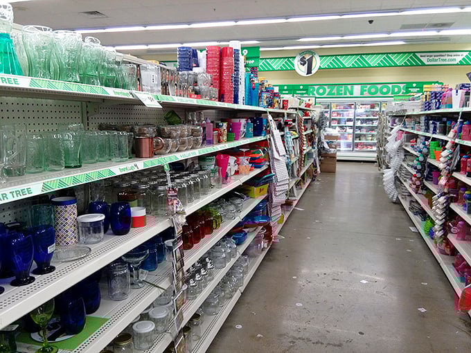Aisle after aisle of possibility stretches before you. The frozen food section beckons in the distance like a budget-friendly oasis. 