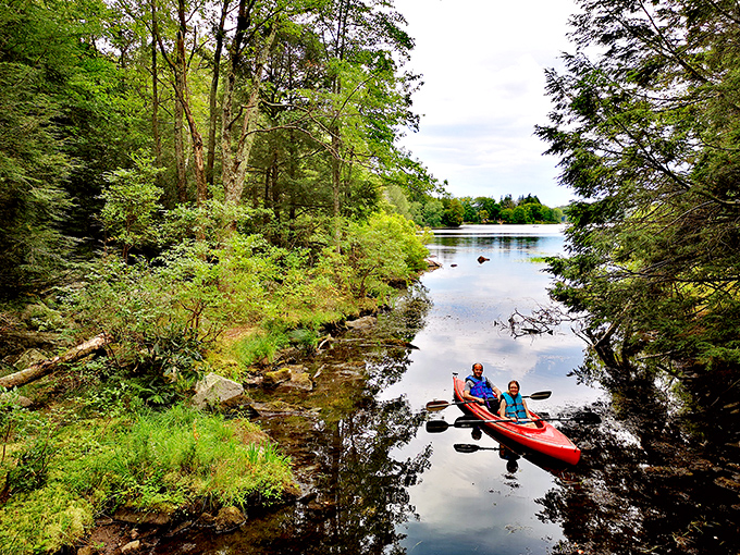 Kayakers glide through glassy waters between forested shores – the closest thing to flying while still technically swimming.