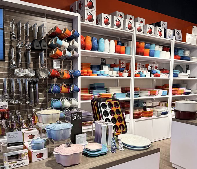 Kitchen essentials arranged like a culinary wonderland where cooking dreams become surprisingly affordable realities for everyone.
