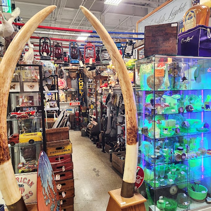 Massive elephant tusks frame an aisle that would make Indiana Jones feel right at home. Adventure and controversy stand side by side with vintage Pepsi crates and neon-lit display cases.