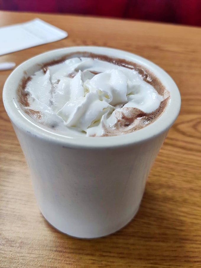 Hot chocolate topped with whipped cream—comfort in a mug that whispers, "Everything's going to be okay" with every sip.