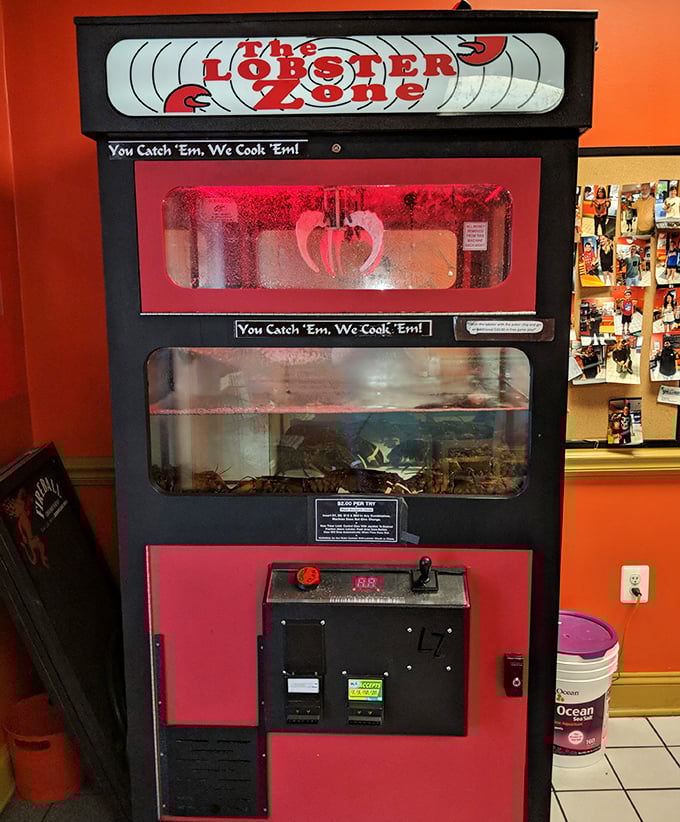 "You catch 'em, we cook 'em"—this lobster machine stands as a quirky testament to the restaurant's commitment to fresh seafood and maritime entertainment.