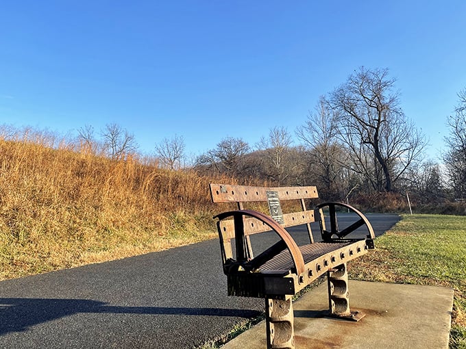 These benches know all the best views – trust them, they've been watching this spot for years.
