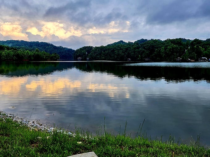 Watts Bar Lake at sunset transforms into a mirror of golden sky, proving that nature's greatest masterpieces are free for all to enjoy.