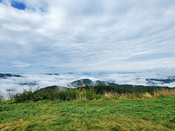 Walking on clouds isn't just a metaphor here. On foggy mornings, the valleys fill with mist, creating islands of mountaintops.